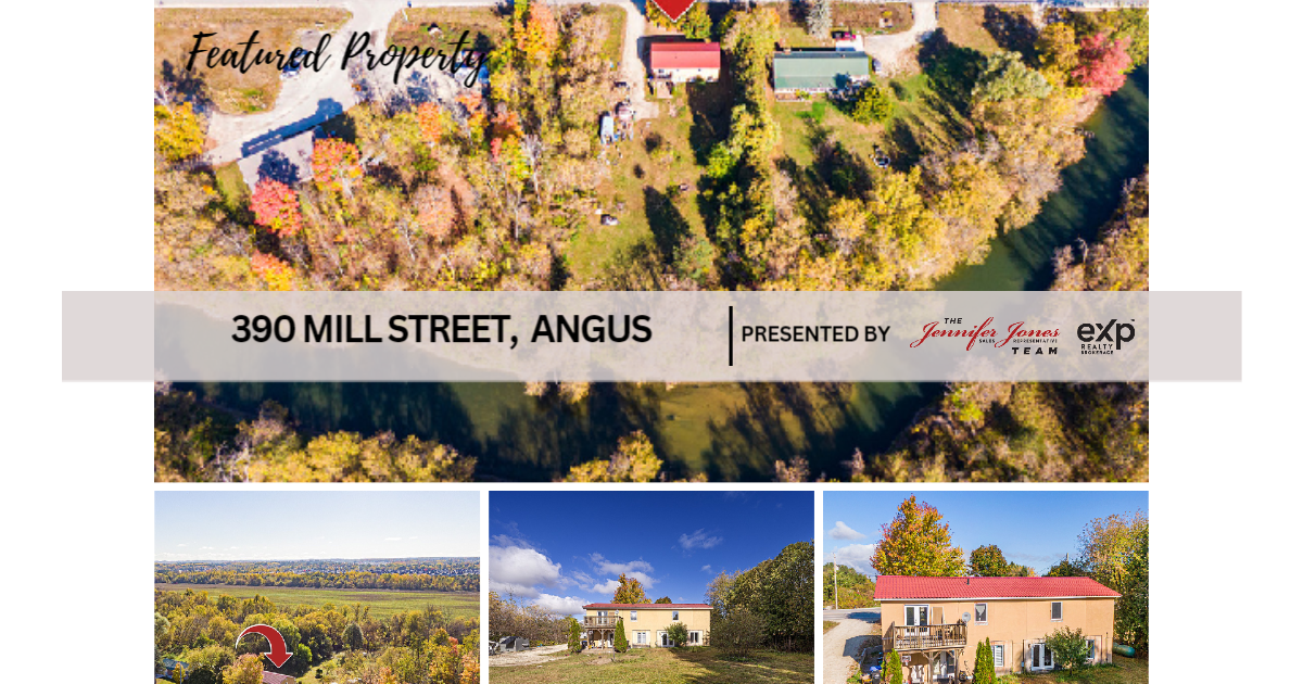 LIVE - 390 MILL STREET